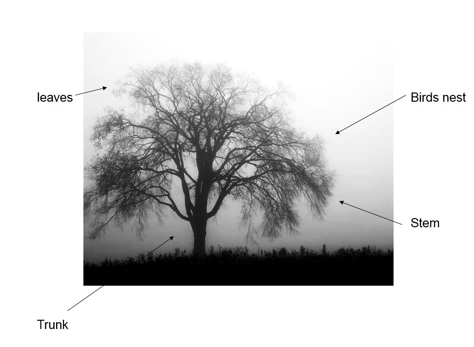 mathsdingbats45 – IB Maths Resources from Intermathematics
